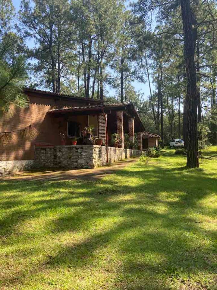Tapalpa Cabaña En El Bosque - Tapalpa