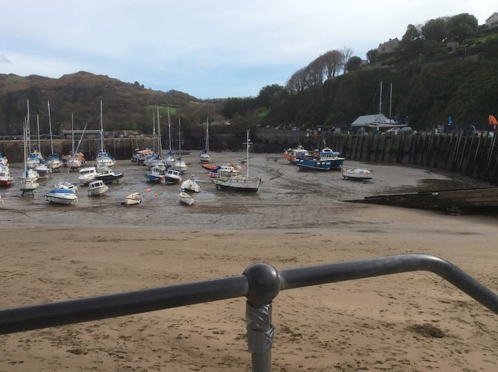 Perigrins Nest, Ilfracombe Harbour - Hele Bay
