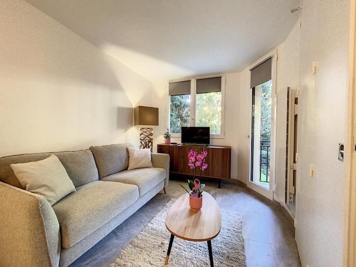 Le Charmant Chamois De Chamonix - Aiguille du Midi