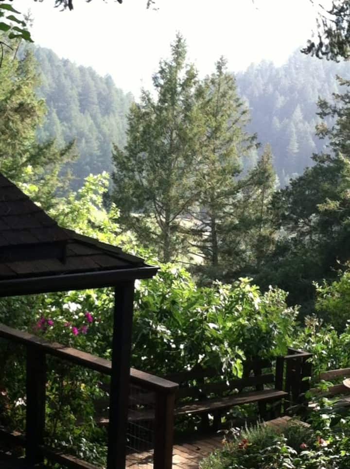 Cute Upvalley Cabin - St. Helena, CA