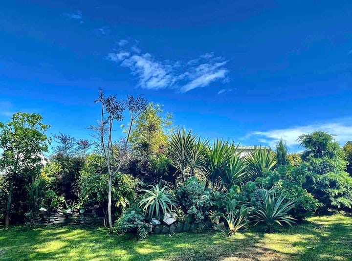 The Arthouse Milton Cottage - Mollymook