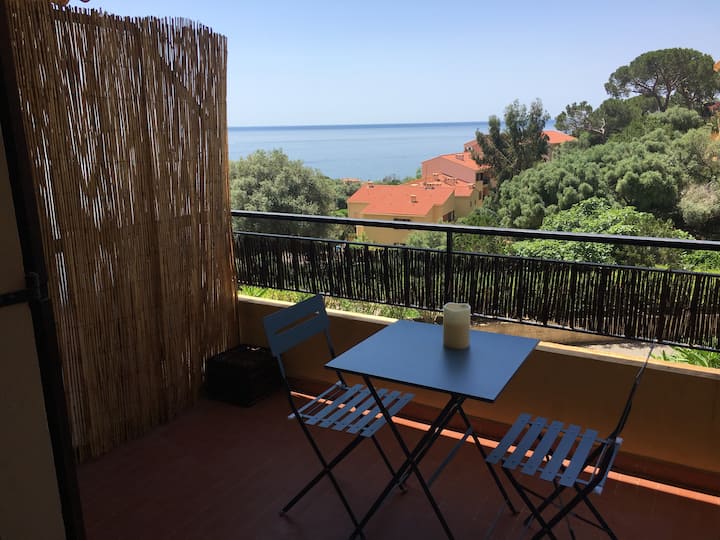 Charmant Appartement Avec Vue Sur Mer - Ajaccio