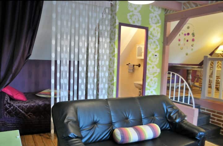 Gite Grange De La Motte***  1km De Sully Sur Loire - Sully-sur-Loire