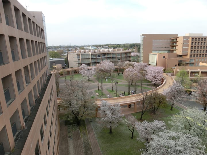 Cozy House Near Ajinomoto Studium Tufs/icu/asij - Tama