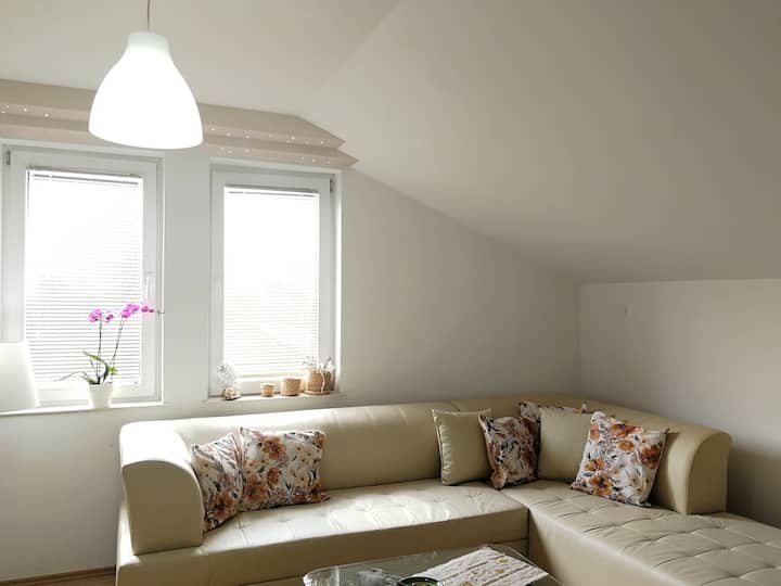 Mav-bright, Cozy, Spacious Flat With A Garden 4 - Ohrid