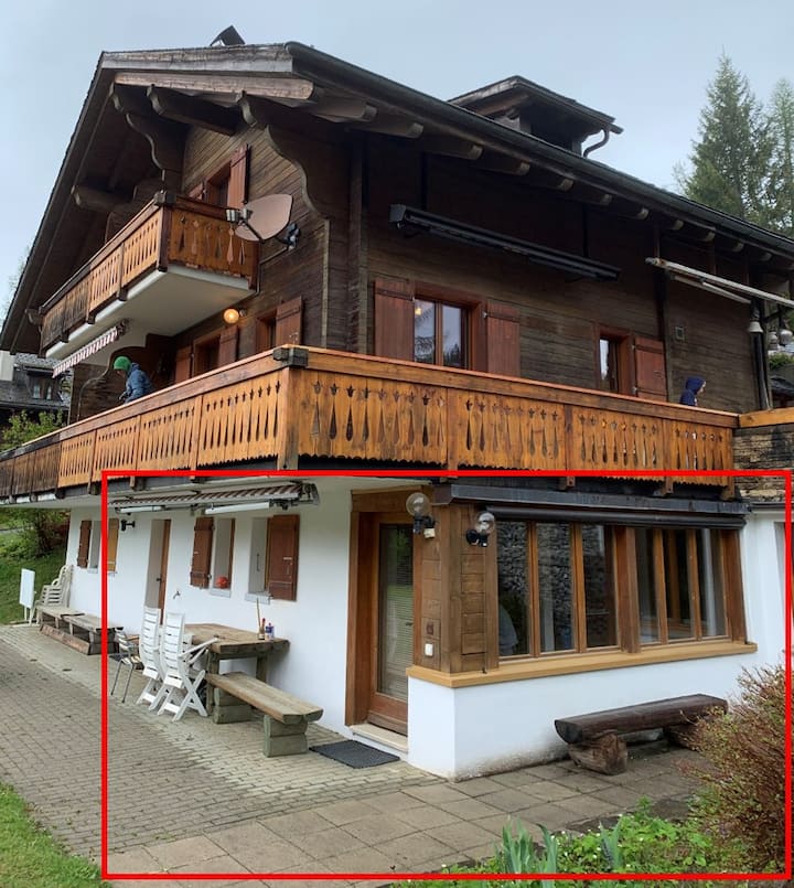 Appartement Douillet Pour Vacances à La Montage - Les Diablerets