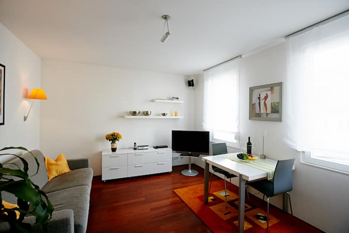 Großzügiges 1 Zimmer Apartment - Stuttgart