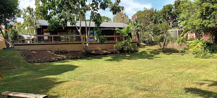 Purerehua (Butterfly) In Mangawhai Village - Mangawhai