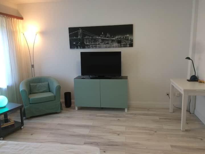 Zurlinden Studio Apartment 1 - Zürich