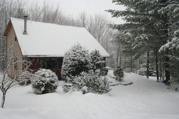 Private Affordable Ski-house - Windham, NY