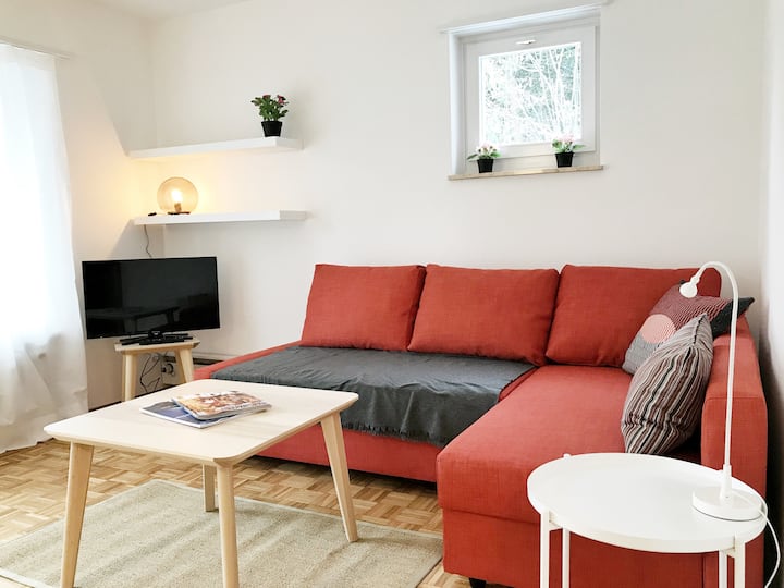 Schön Möblierte Wohnung Nähe Hsg Uni Und Olma - Saint-Gall