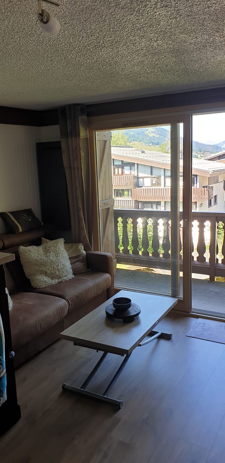 Joli Appartement à La Montagne - Praz-sur-Arly
