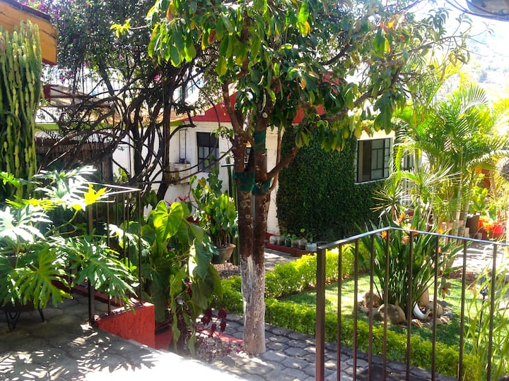 Beautiful Fully Furnished Apartment! - Oaxaca