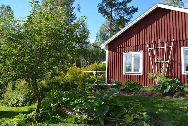 Garden View Cottage - Bollnäs