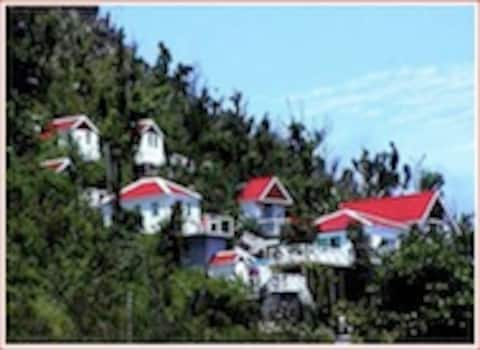 Saba Vacation Rentals | Villas and More | Airbnb