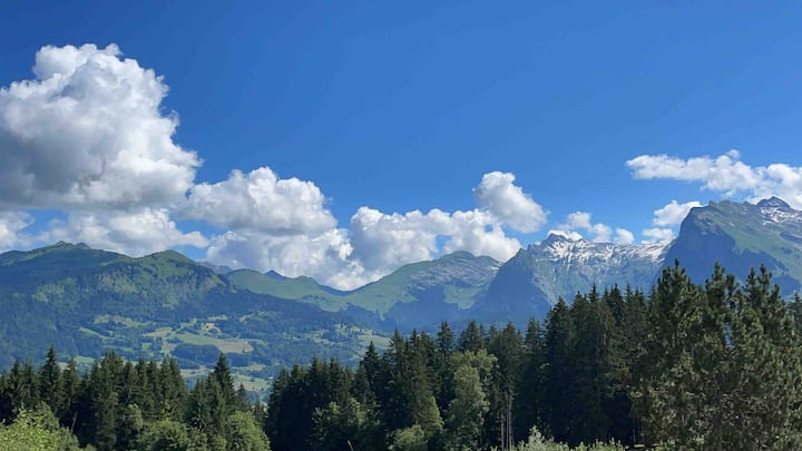 Appartement Au Pied Des Télésièges ! - Morzine