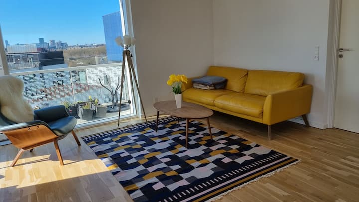 Große Wohnung Mit Traumaussicht - Copenaghen