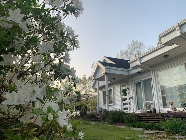 Pohang Quiet Retreat By Bangokji Lake, Lago Azul - 포항시