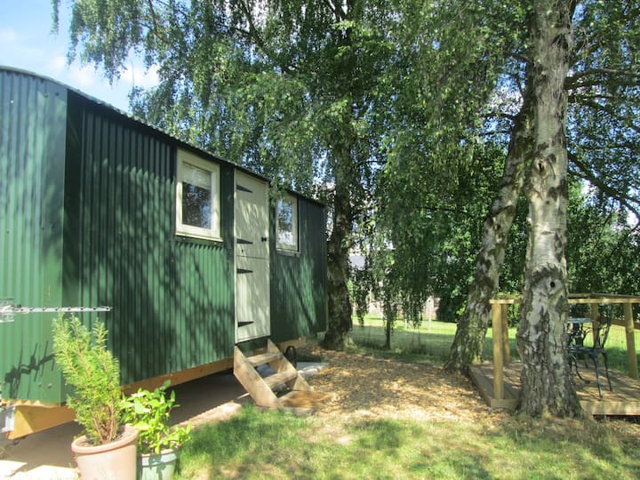 Hay & Hedgerow Glamping - Shepherds Hut - Shropshire