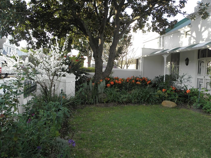 Magnolia 3 - Stellenbosch