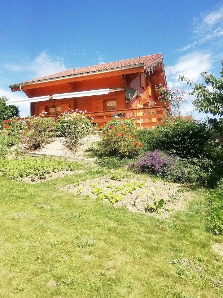 Chalet Entre Lacs Et Montagnes - Seyssel