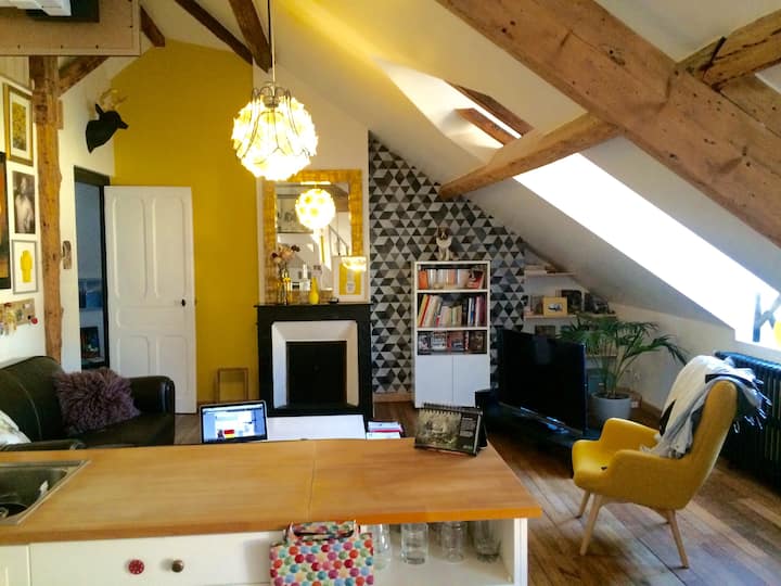 Charmant Appartement Nantes Centre - Nantes