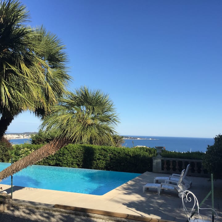 Vue Panoramique Mer Dans Un éCrin De Verdure - Antibes