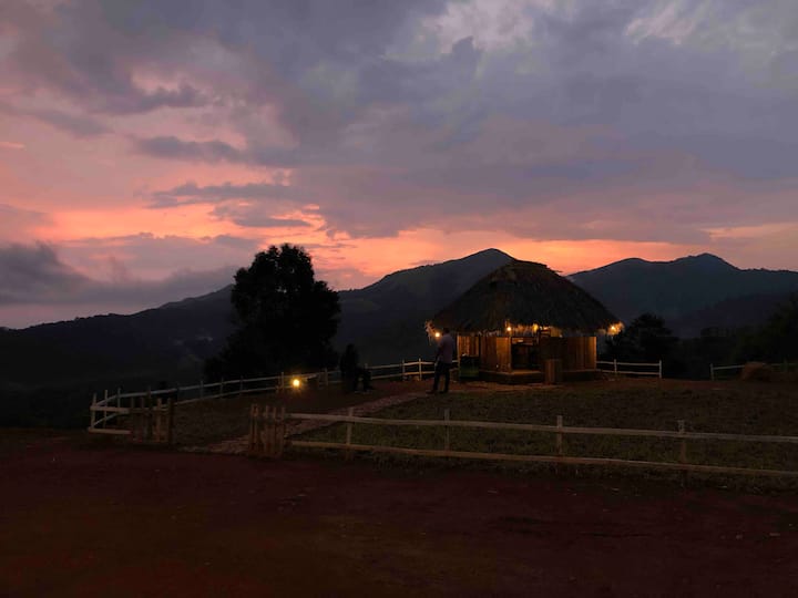 Stay At Home In A Dreamy Place - Wayanad