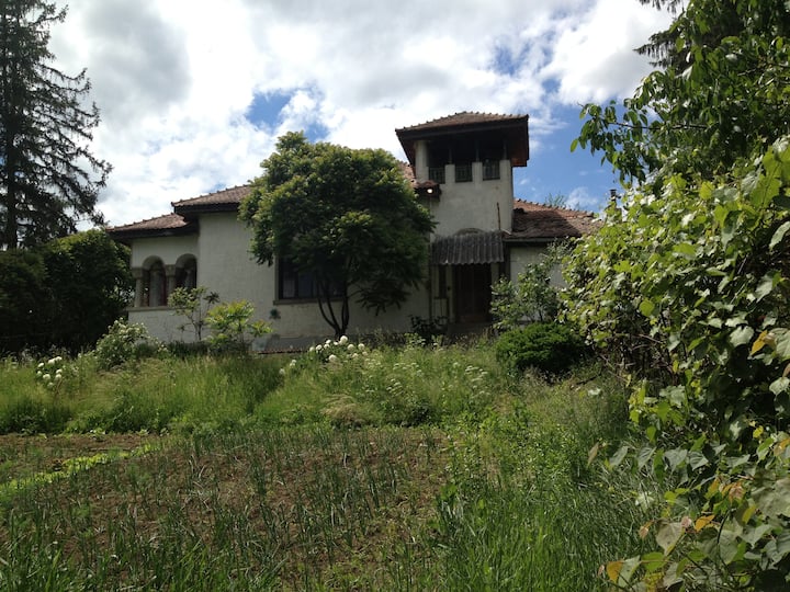 Original Romanian Mansion - Voila