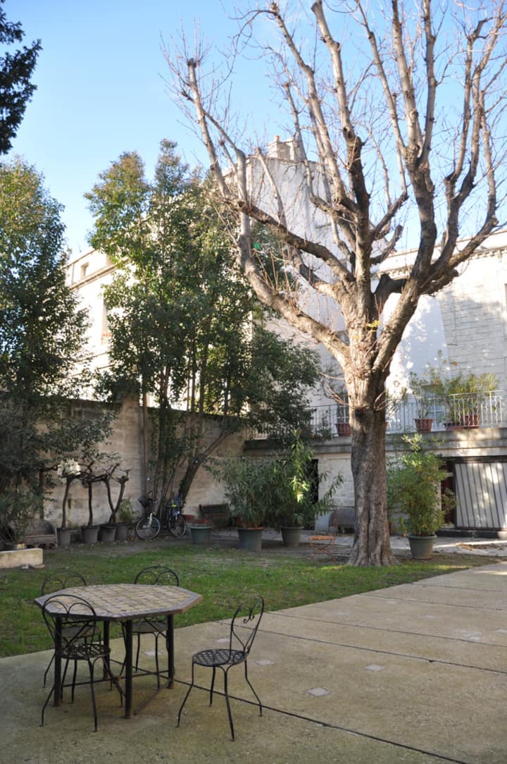 Joli Duplex & Terrasse Intramuros - Avignon