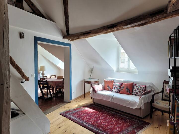Duplex Familial Plein Centre - Versailles