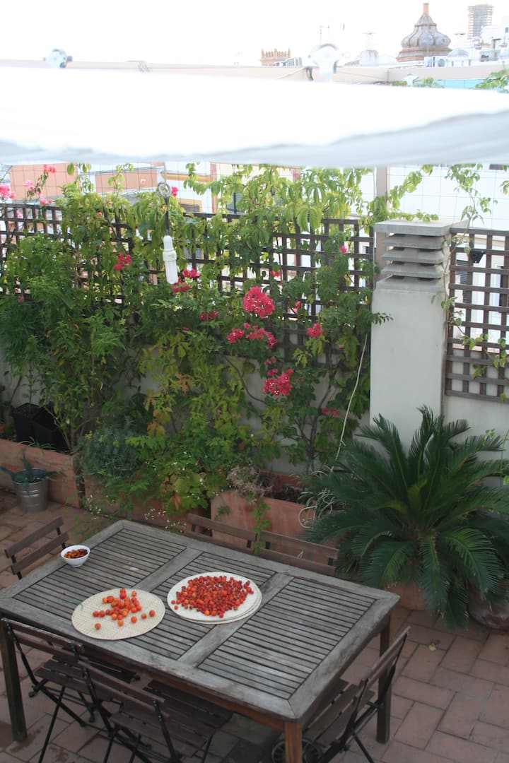 Guest House Europa 12. 4 - Séville