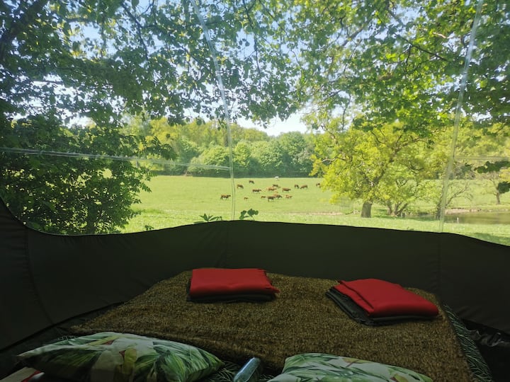 Bulles De Freux: Glamping Lux : Les Ambassadeurs. - Saint-Hubert