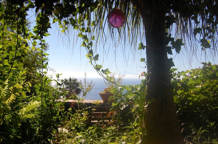 Casa La Panacea - La Palma