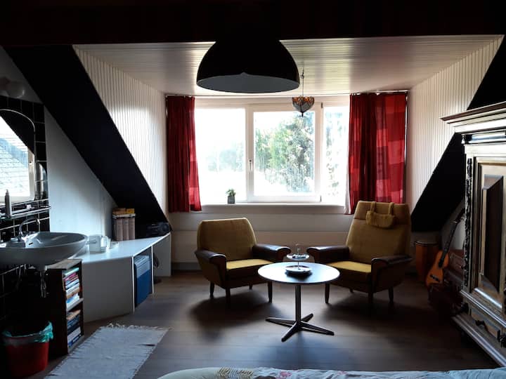 Leende - Kamer Met Karakter - Valkenswaard