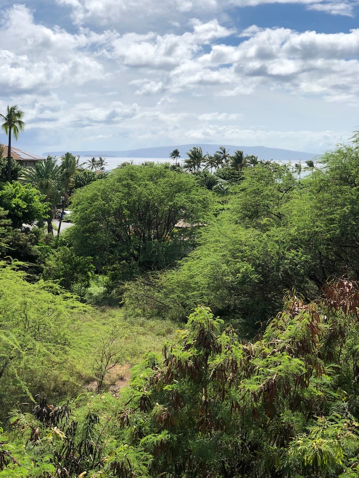 Ocean And Haleakala Views! 1 Block From Beach - Maui, HI