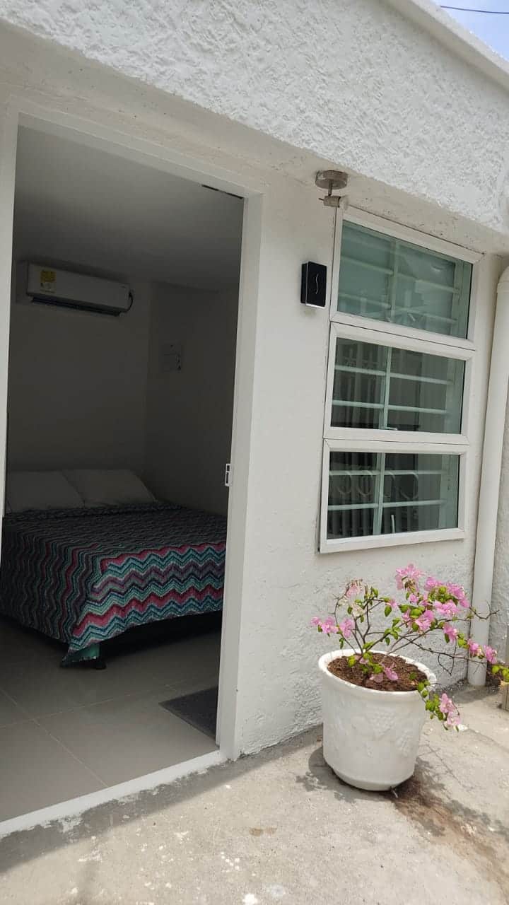 Studio Intelligent Lychee #2 - Montería