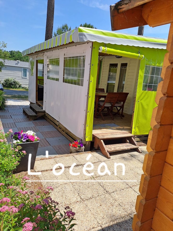 L' Océan - Ronce-les-Bains