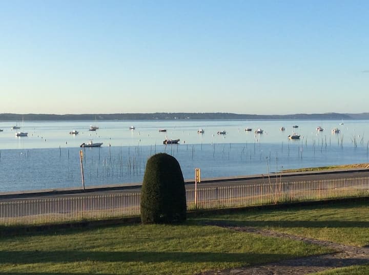 Appartement Au Bord Du Bassin L'herbe,cap-ferret - Cap Ferret