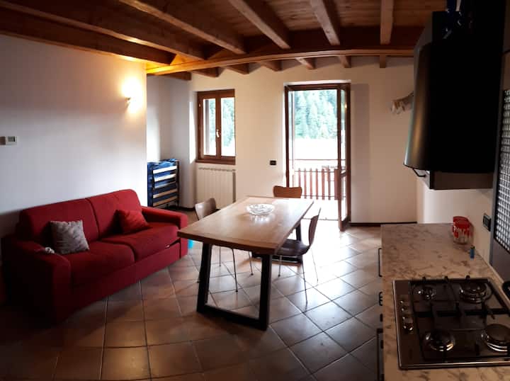 Appartamento Ponte Via Alpini - Ponte di Legno