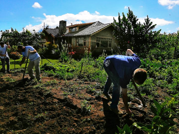 Cabaña Puñushiki Kalera Lodge - Cotacachi