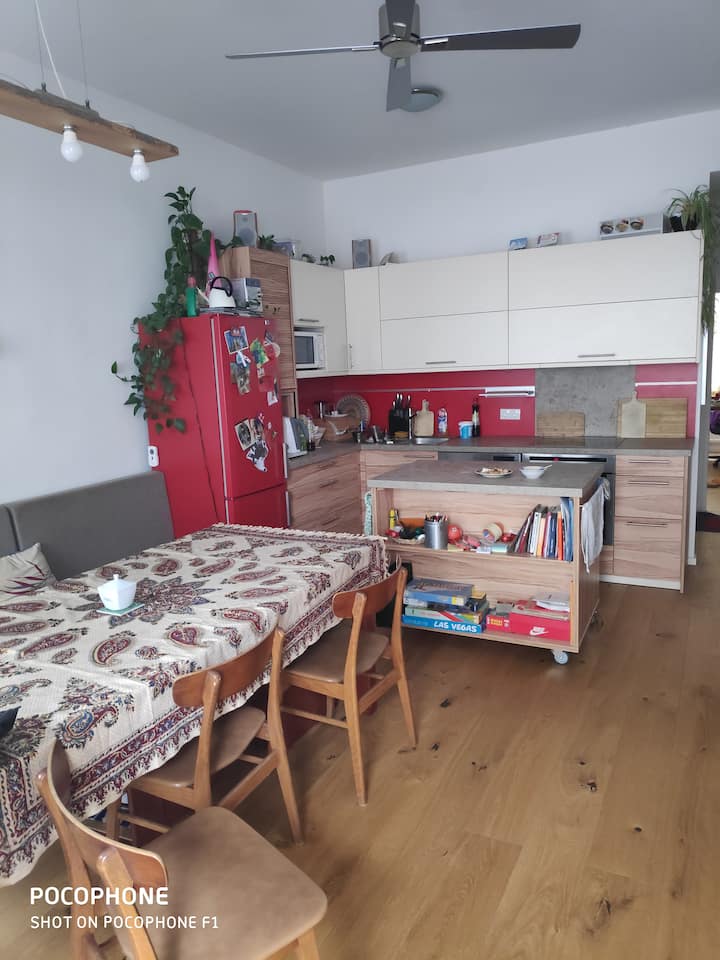 Room In A Hospitable Flat Close To City Center - Vienna