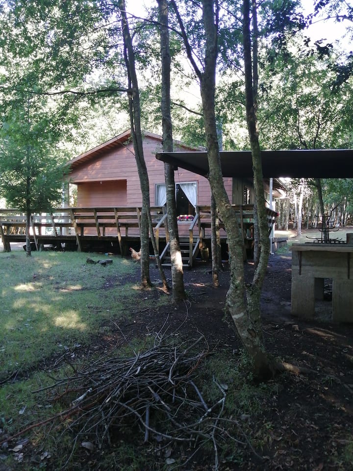 Cabañas ÑUke Mapu Pucón B - 