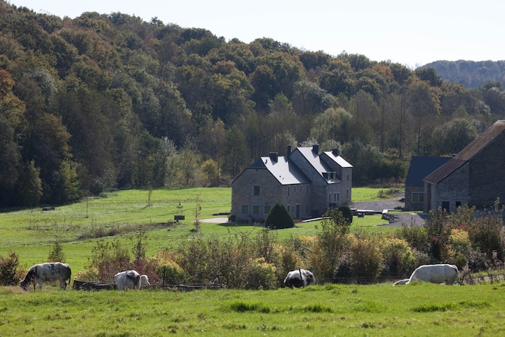 Moulin De Vaulx- 18 Pers - Région De Maredsous - Mettet