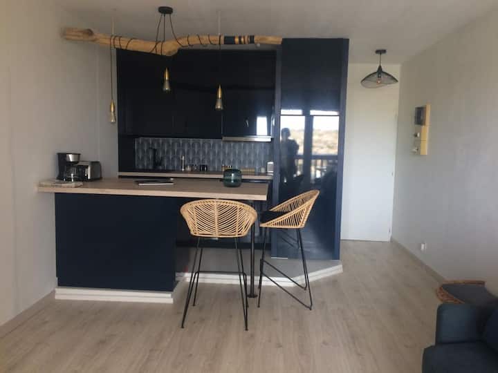Studio 25m2, Entièrement Rénové, Face à L'océan - Seignosse