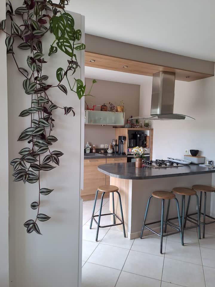 Maison De Sébastien Et Delphine - Landerneau