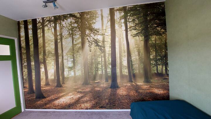 S5 - Nature Room In The Corner House - Schiedam