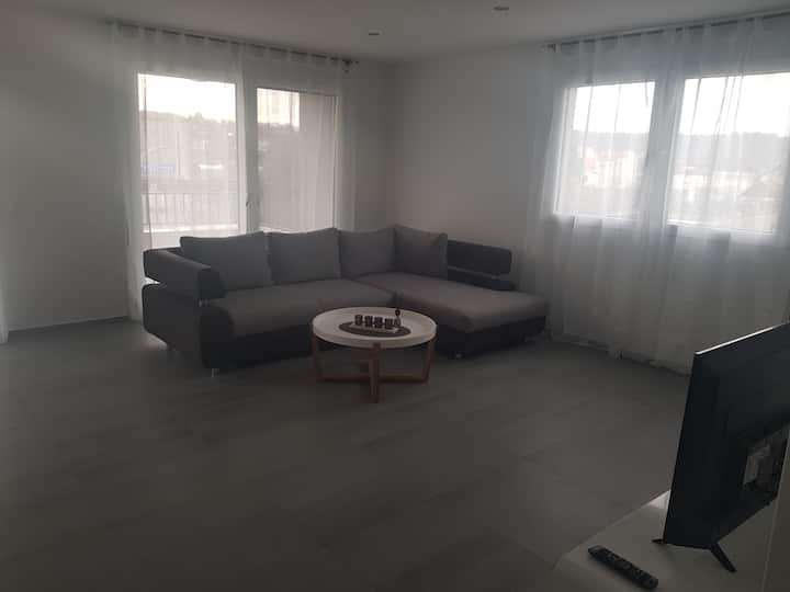 Ravissantes Chambres Ou Appartement - Friburgo