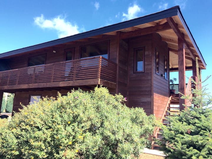 Loft For 4 In Front Of The Volcanos, Lake, Fields - Puerto Varas