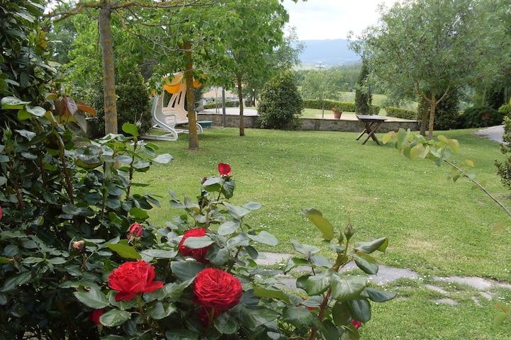 Appartamento Fagiano 6 Posti Letto - Toscana